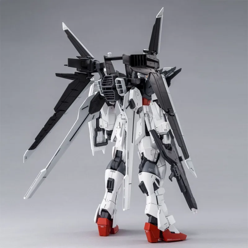 MG 1/100 GUNDAM EX IMPULSE - Con Cá Gunpla